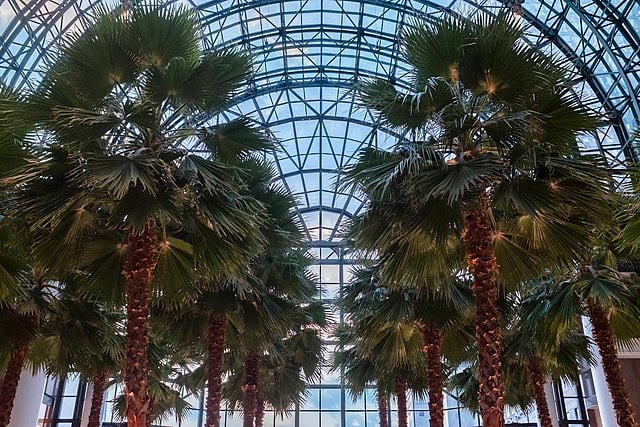 History Of New York's Winter Garden Atrium And Brookfield Place ...